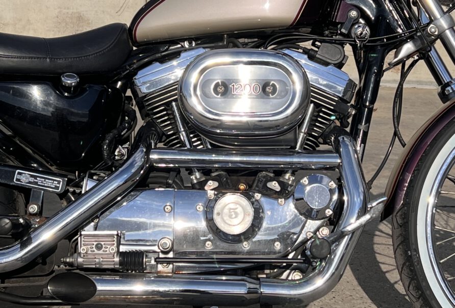 Harley Davidson Sportster 95th Anniversary 1 of… | Waregem Motors BV